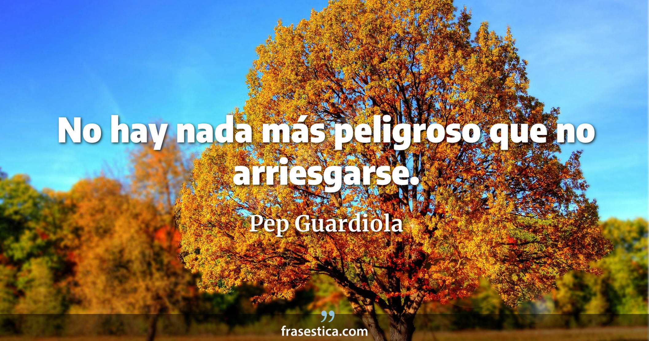 Pep Guardiola frase: No hay nada más peligroso que no arriesgarse. Pep Guardiola frase: No hay nada más peligroso que no arriesgarse.